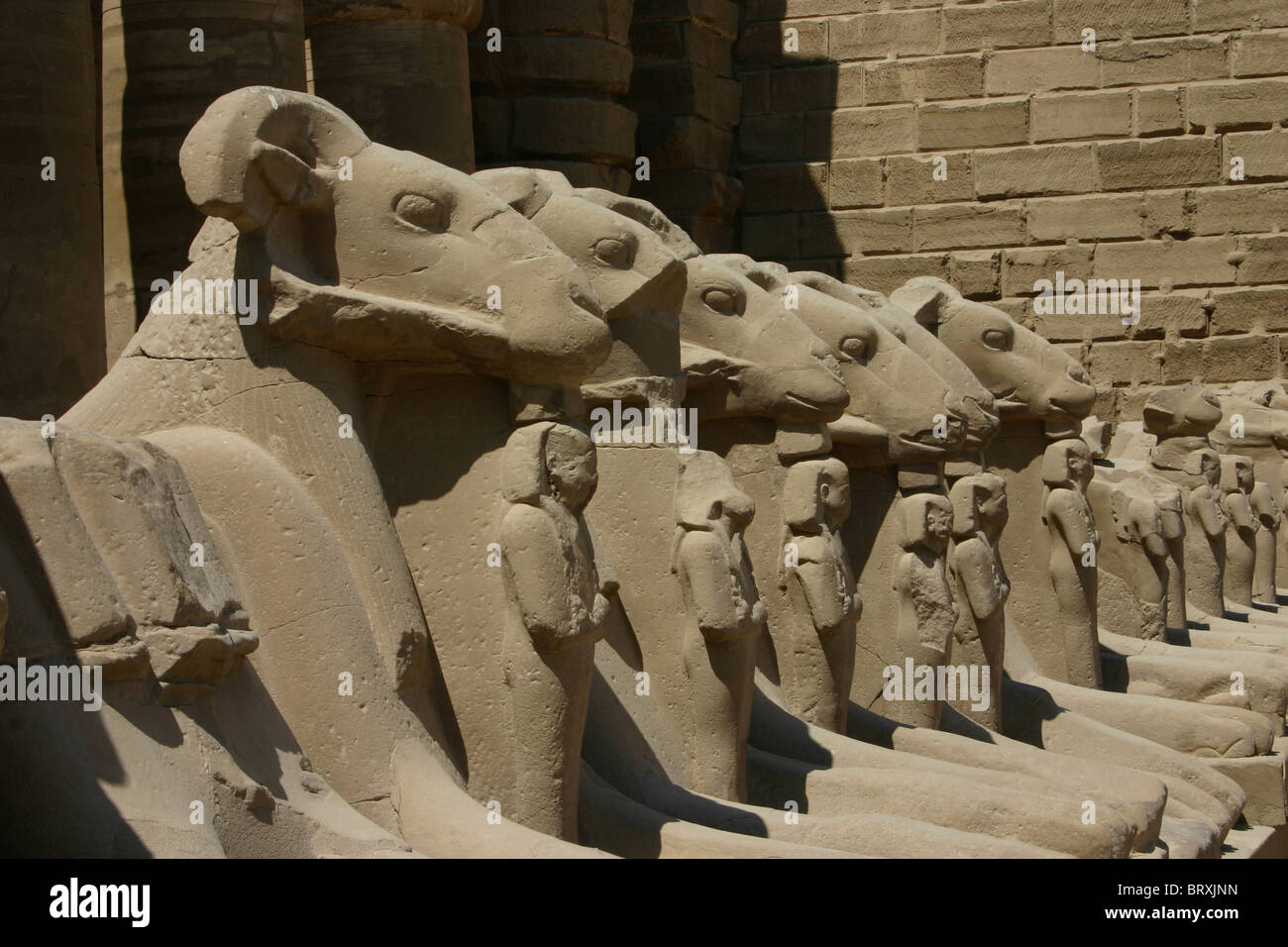 Criosphinxes in First Court, Karnak Temple of Amun, Thebes, Luxor ...