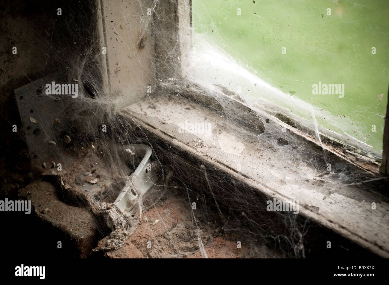 Cobweb covered windowsill Stock Photo - Alamy