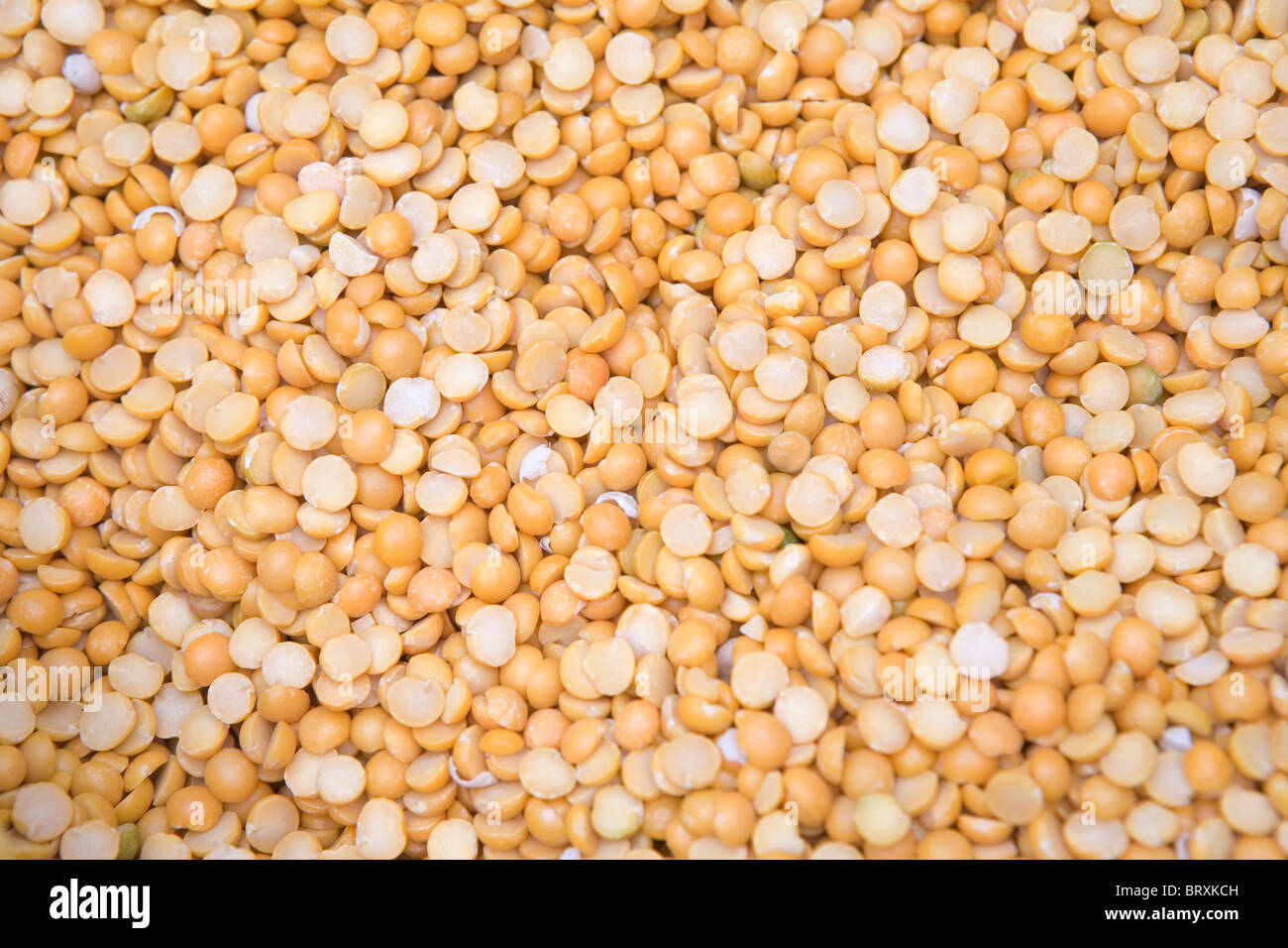 Grains of lentil, full frame Stock Photo - Alamy