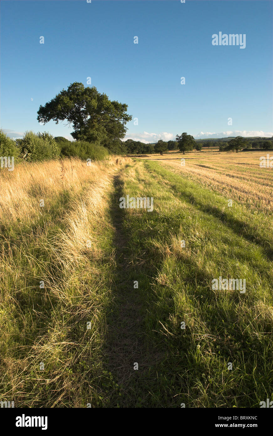 The Shropshire Way long distance path near Church Pulverbatch ...