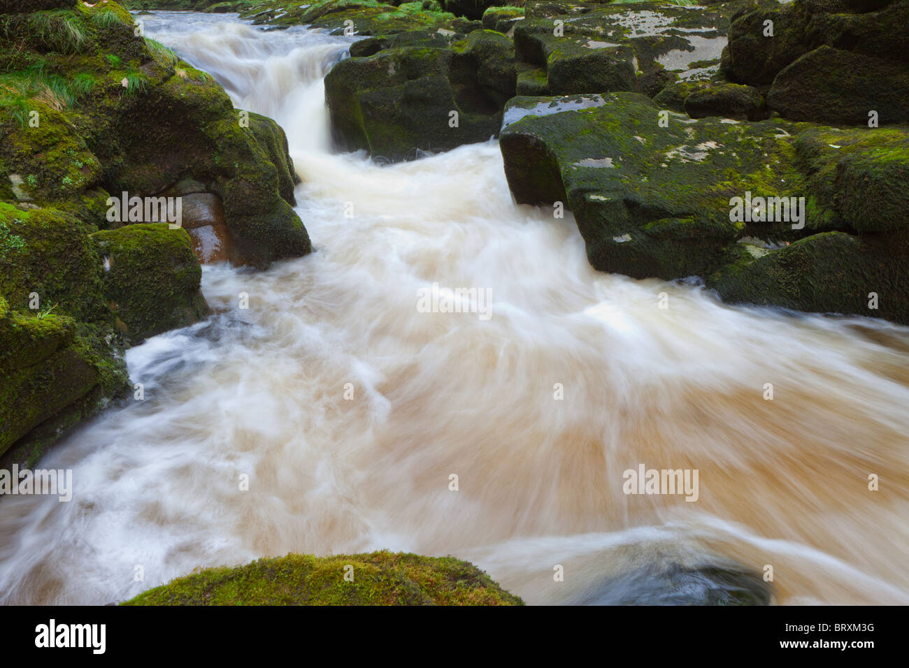 The Strid, Bolton Abbey Stock Photo - Alamy