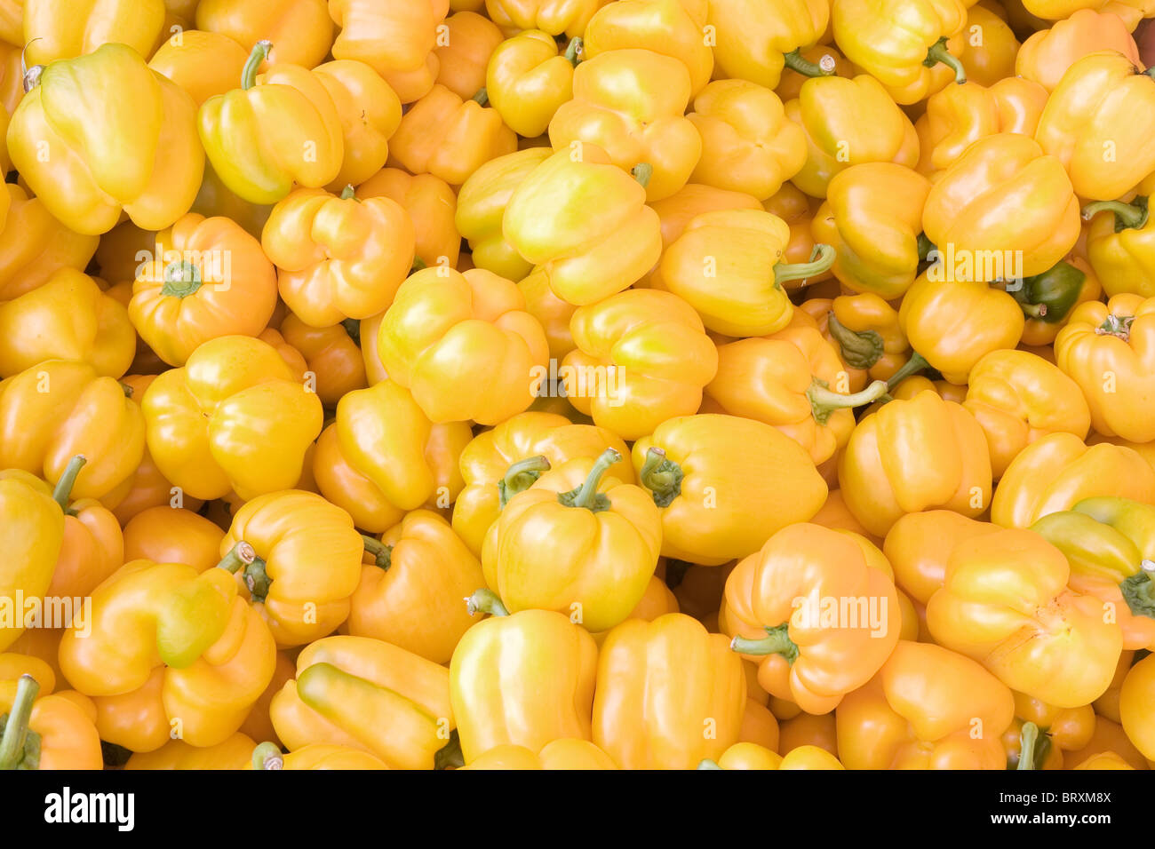 Bell peppers yellow hi-res stock photography and images - Alamy