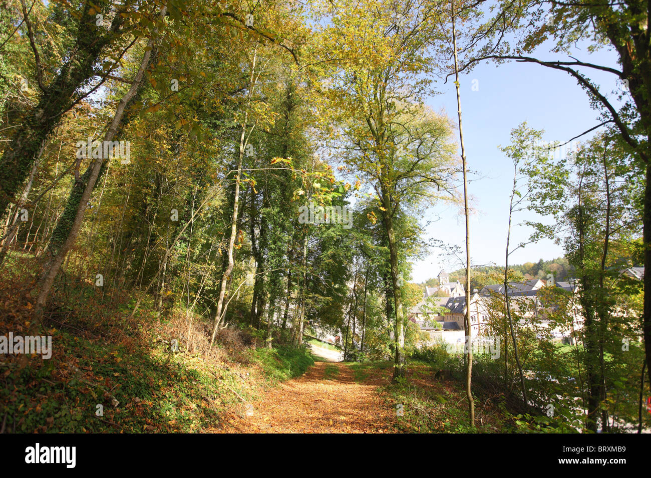 Gaume region hi-res stock photography and images - Alamy