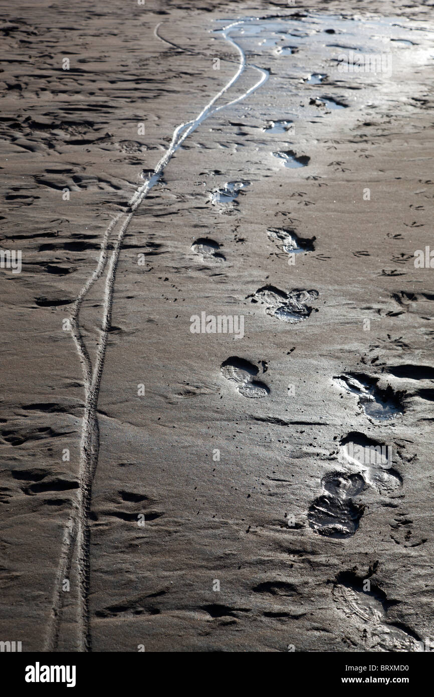 Muddy shoe print hi-res stock photography and images - Alamy