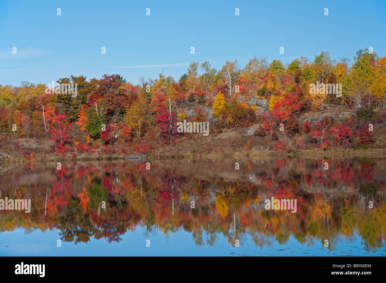 Fall foliage reflected in a Northern Ontario lake Stock Photo - Alamy