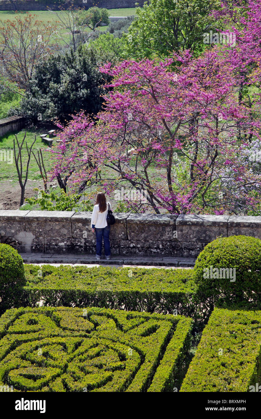 Labyrinth in los frailes garden hi-res stock photography and images - Alamy