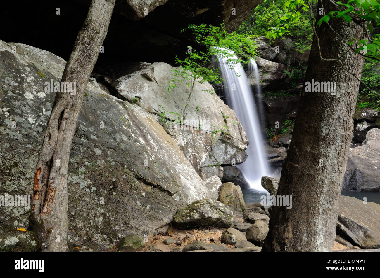 Eagle Falls waterfall at Cumberland Falls State Park Kentucky undercut ...