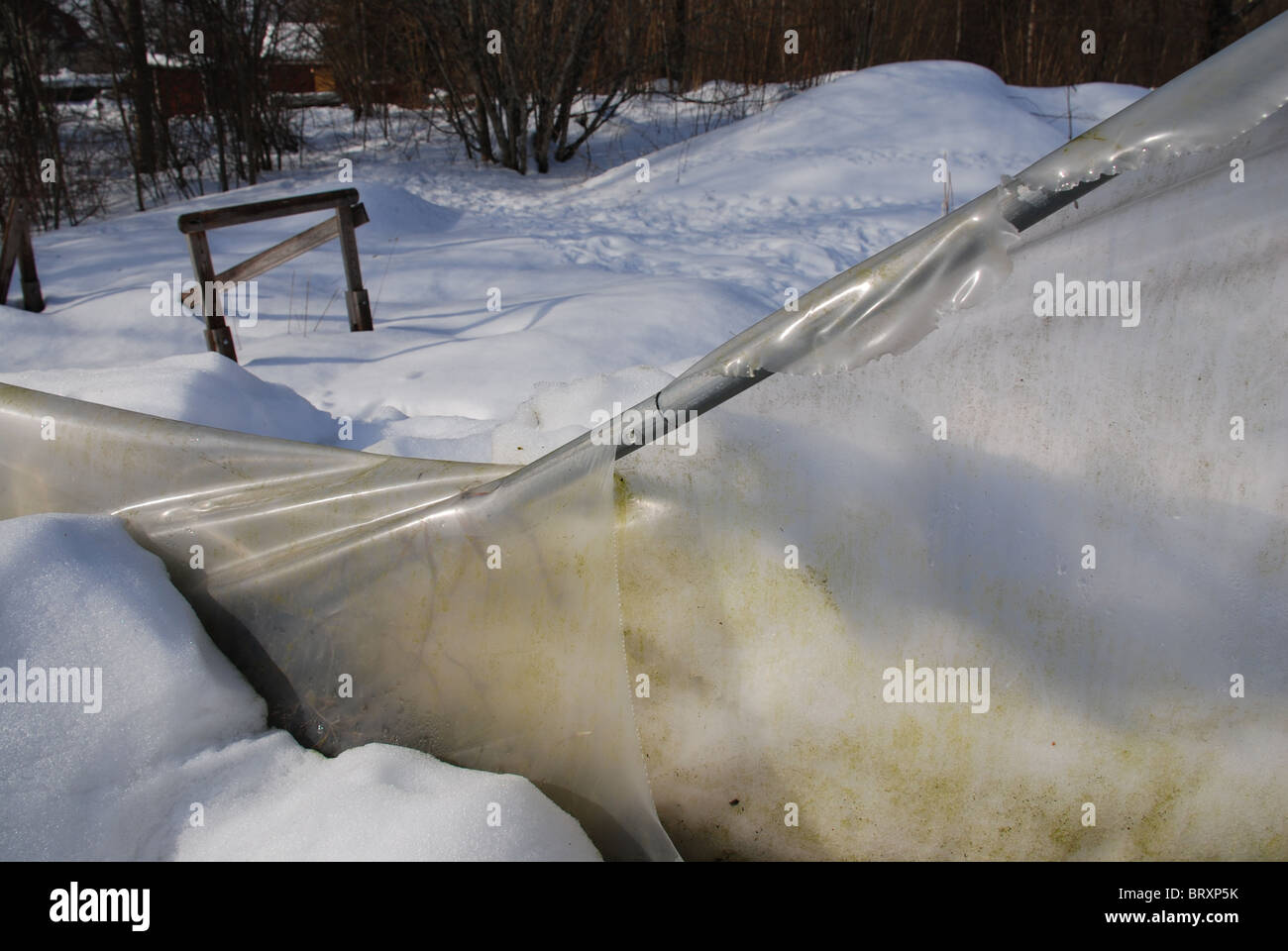 Greenhouse gardening disaster hi-res stock photography and images - Alamy