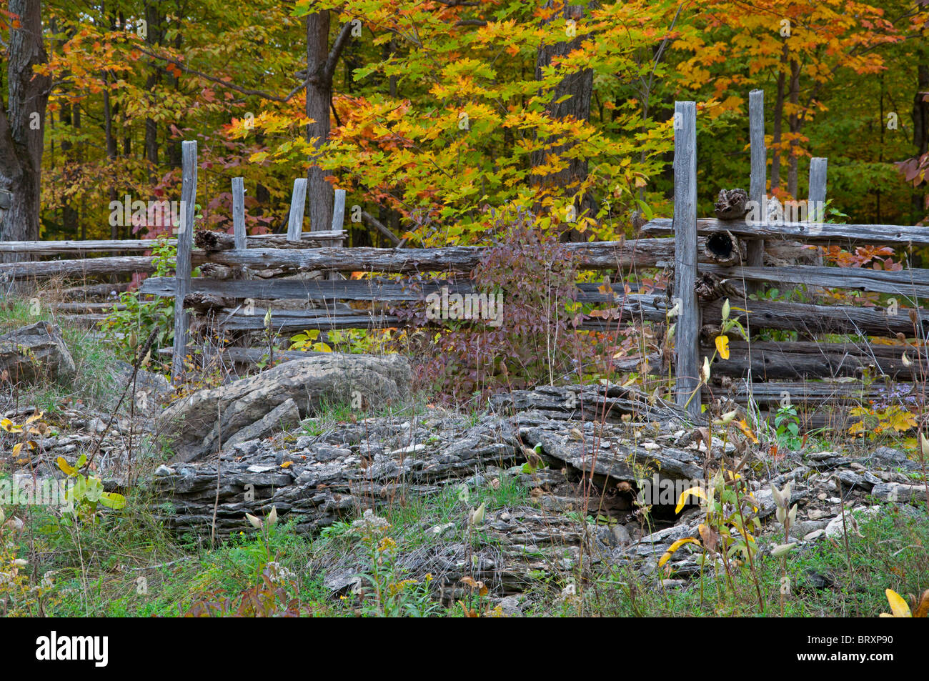 Fall foliage, a split-rail fence and rock Stock Photo - Alamy