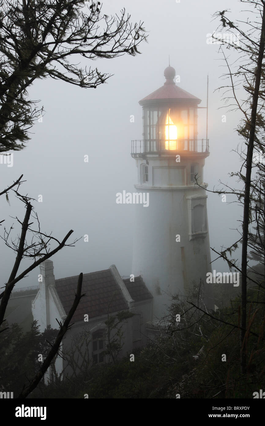 Heceta Lighthouse on the coast of Oregon (USA) as it casts its light ...
