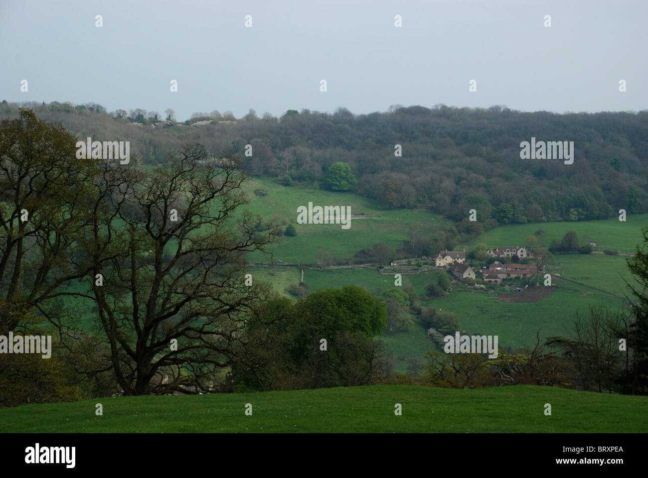 Trees and valley Stock Photo - Alamy