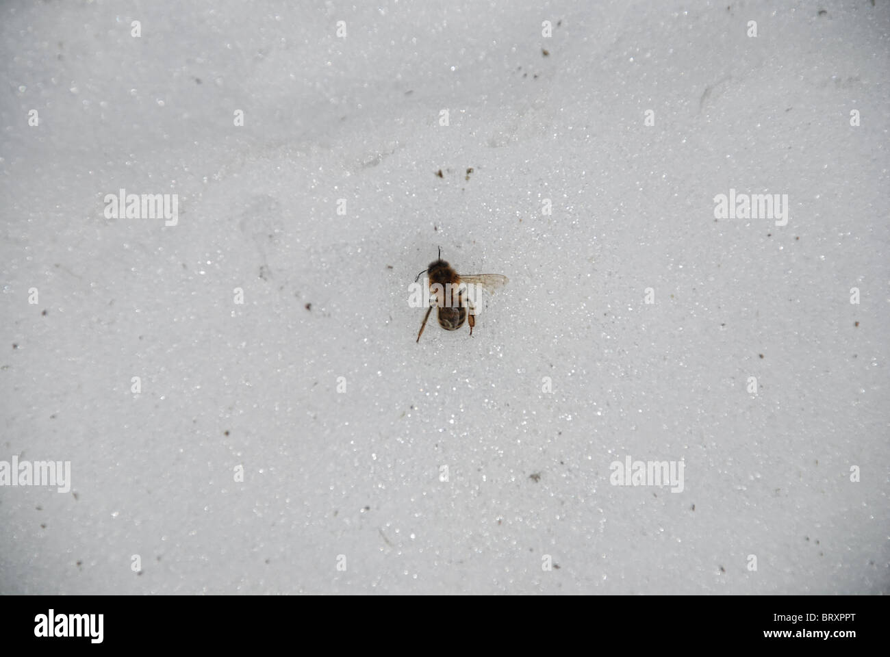Cleansingflight hi-res stock photography and images - Alamy