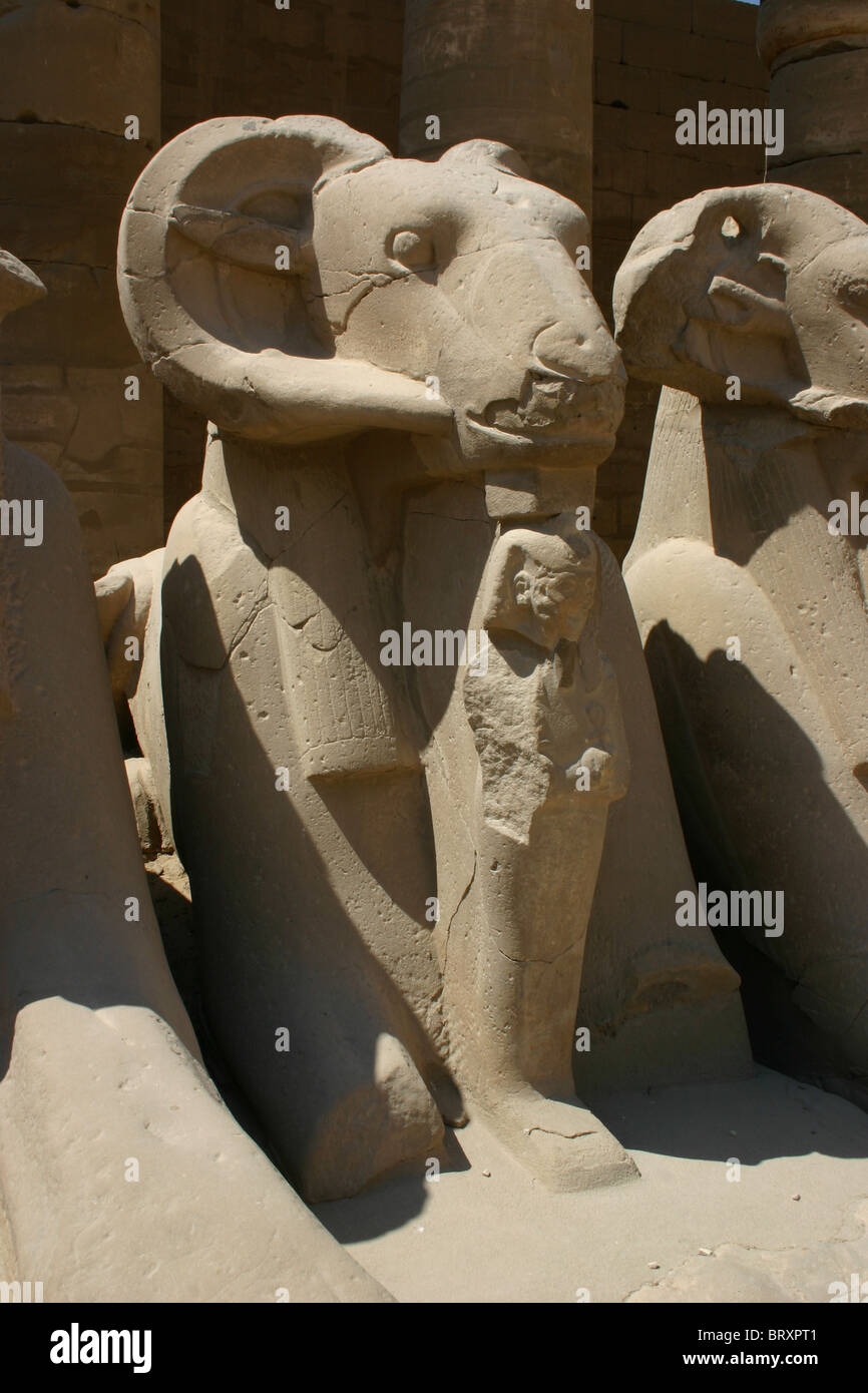 Criosphinxes in First Court, Karnak Temple of Amun, Thebes, Luxor ...