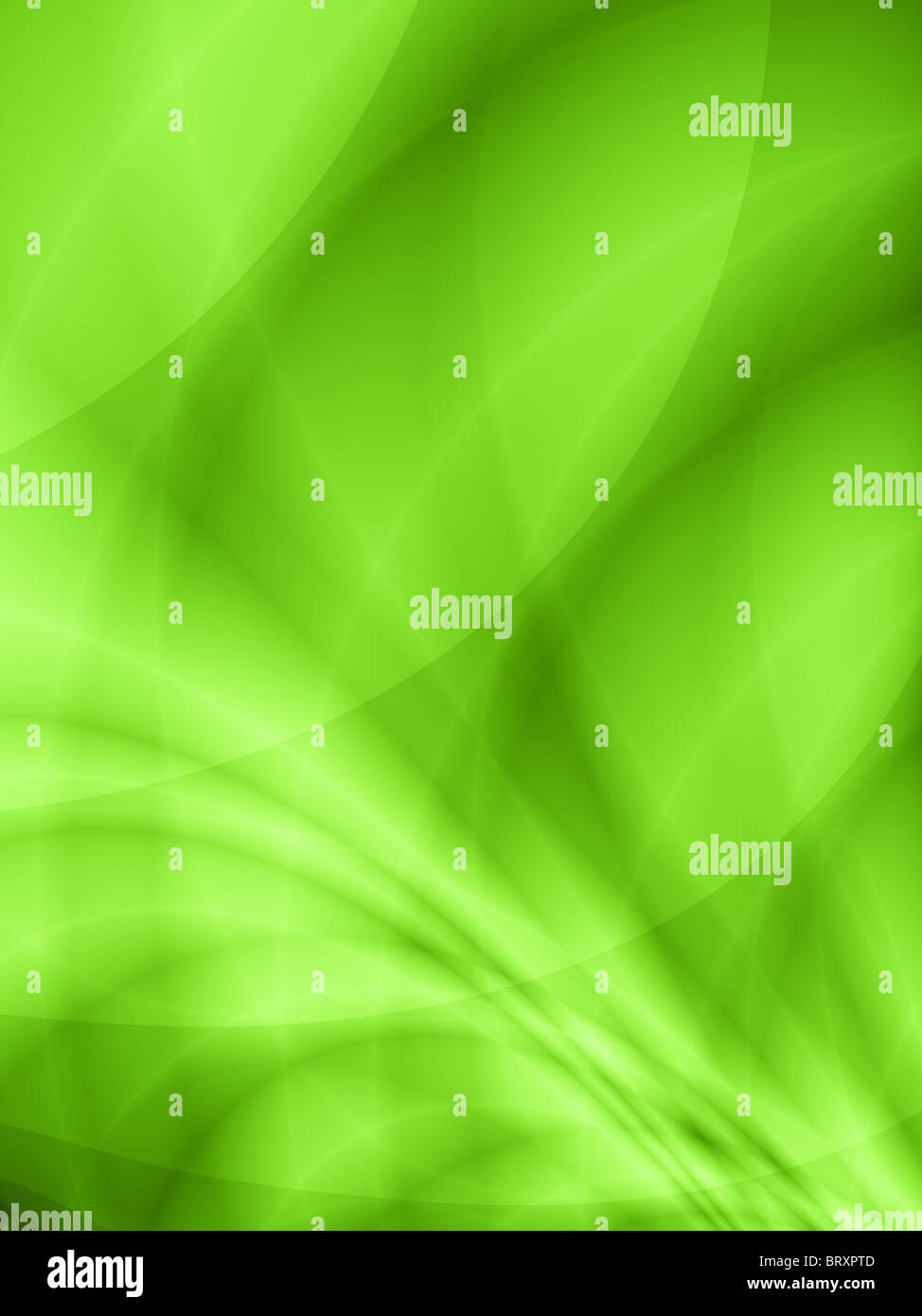 Green leaf ecologic background Stock Photo - Alamy