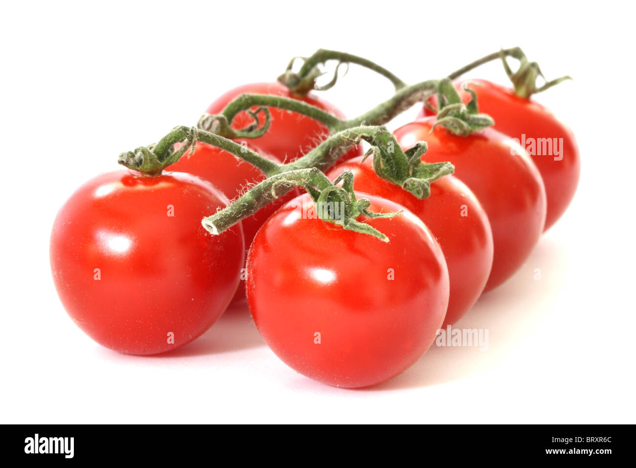 Fresh red tomatoes on vine on white background Stock Photo - Alamy
