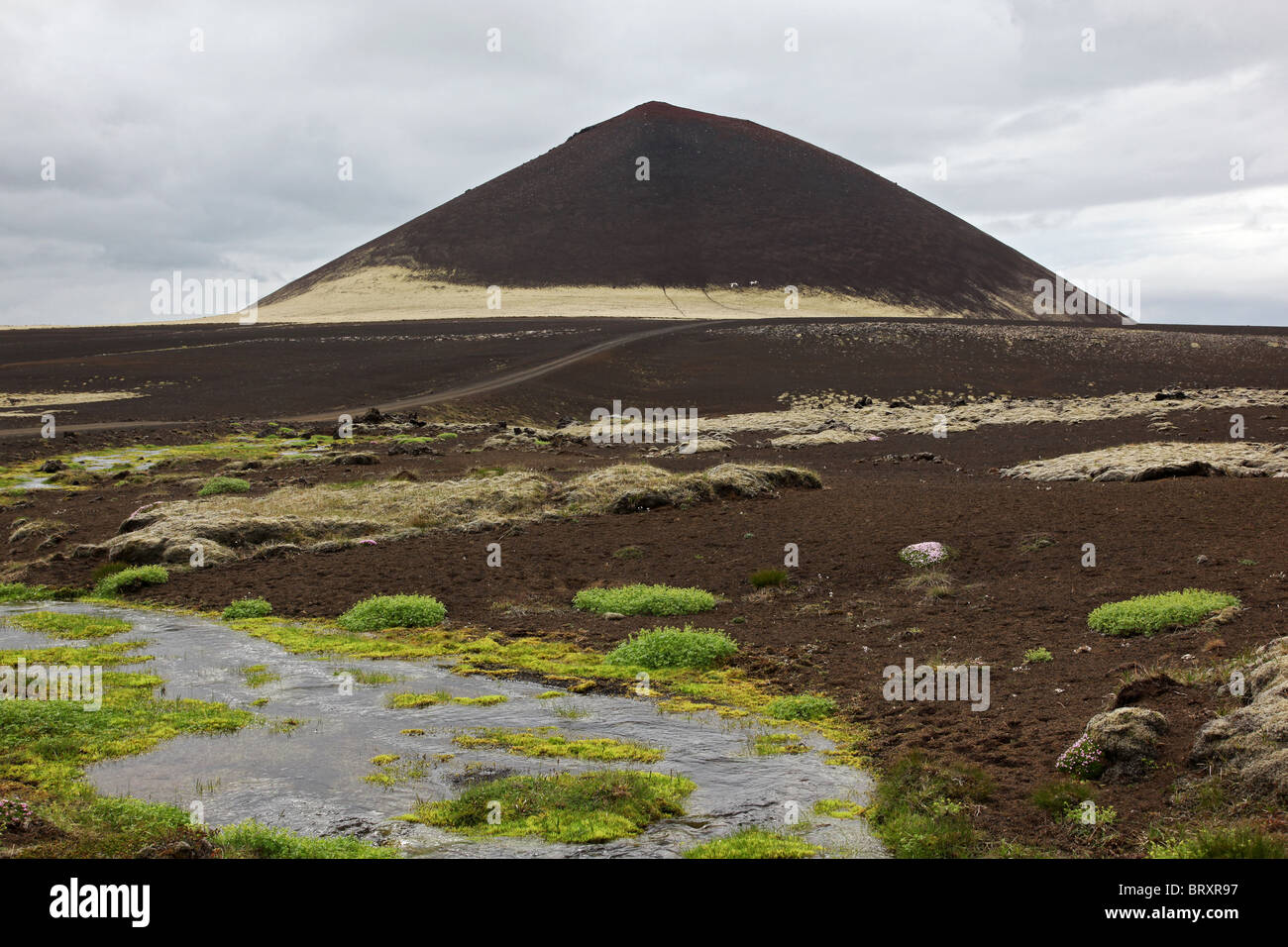FIELD OF LAVA FLOW, ROUTE 54 TO BORGANES, SNAEFELLSNES PENINSULA ...