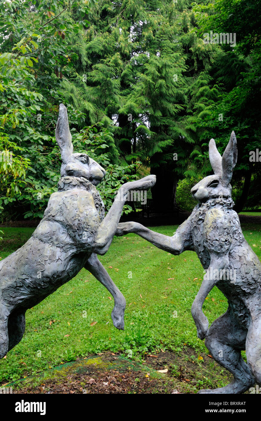 Fighting hare hi-res stock photography and images - Alamy