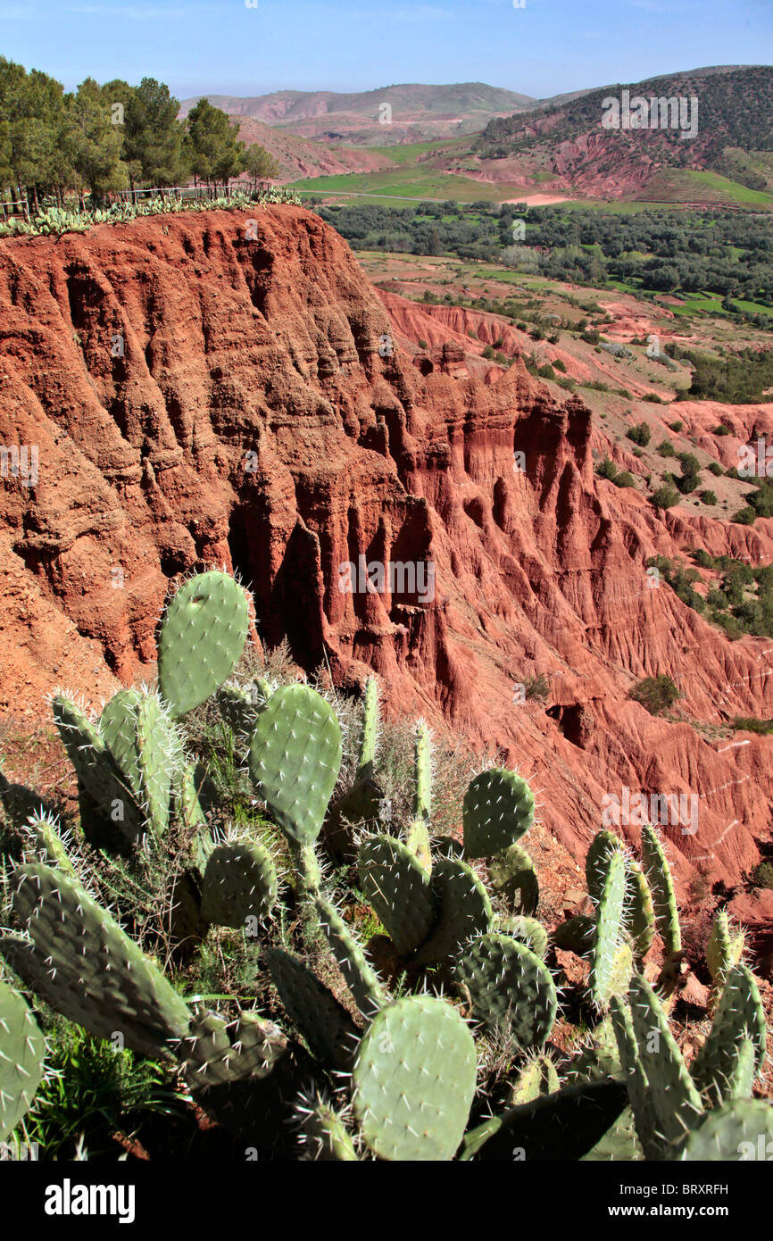 LANDSCAPE IN THE TERRES D'AMANAR NATURE PARK, TAHANAOUTE, AL HAOUZ ...