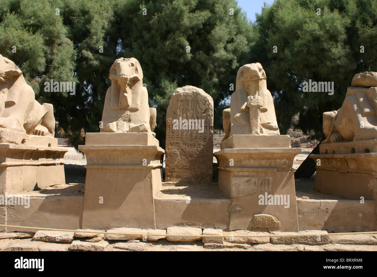 Criosphinxes ( ram headed , lion body ) of Ramses ll at theTemple of ...