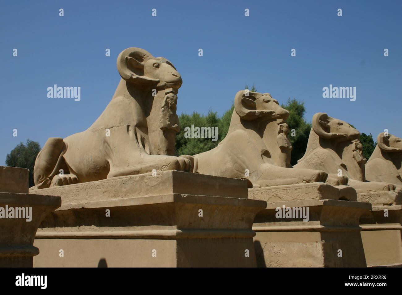 Criosphinxes ( ram headed , lion body ) of Ramses ll at theTemple of ...