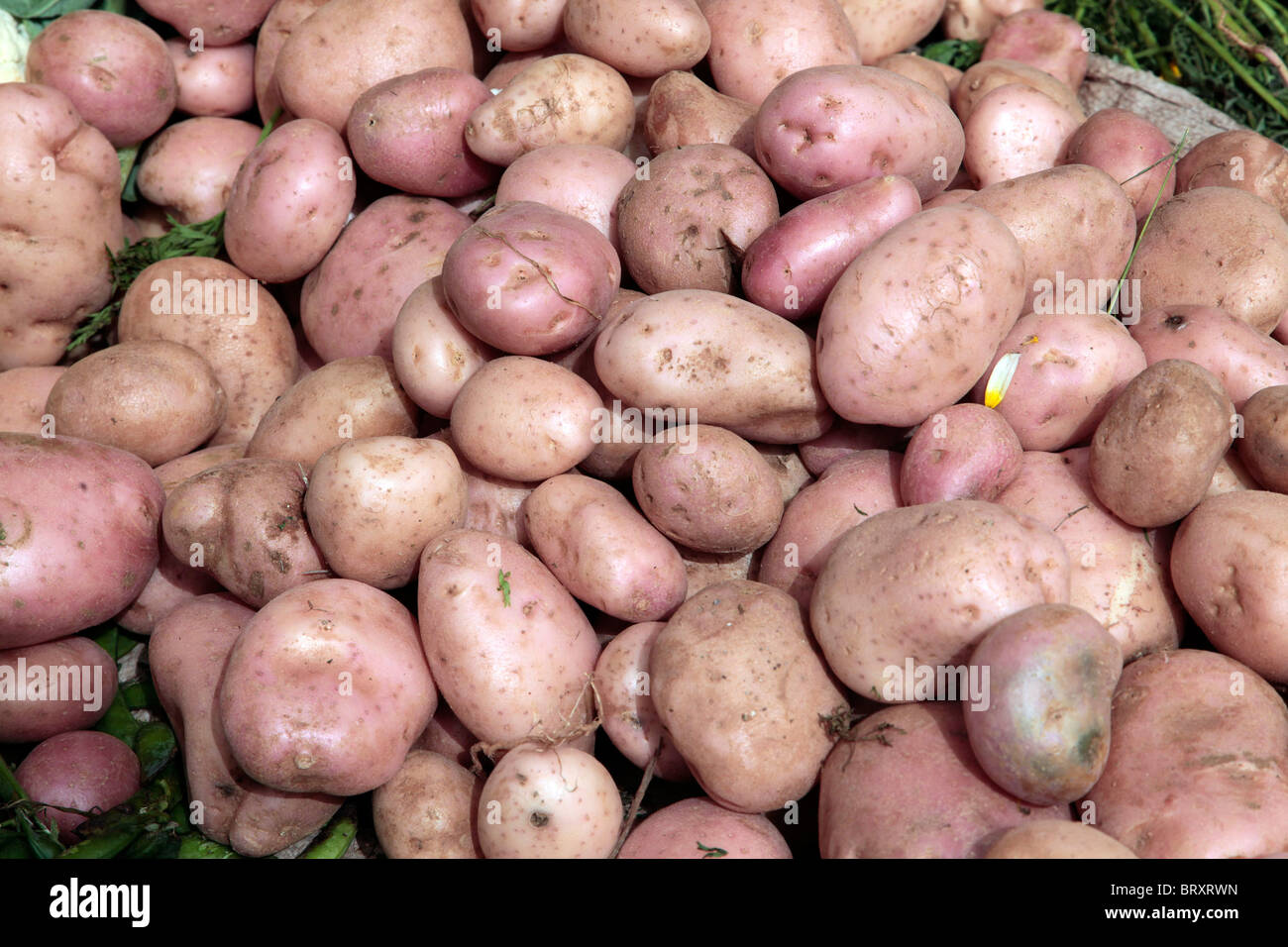 POTATO STALL IN THE BERBER MARKET OF TAHANAOUTE, AL HAOUZ, MOROCCO ...