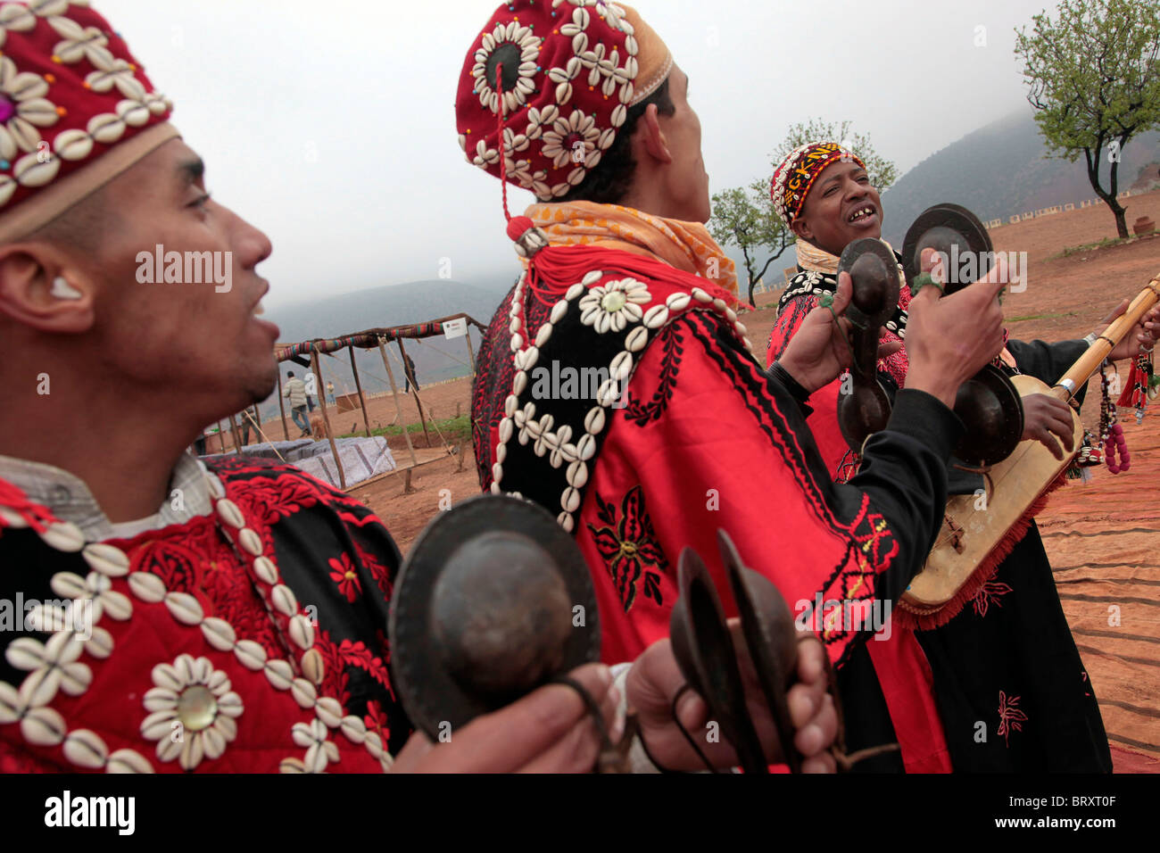 BAND OF BERBER MUSICIANS PLAYING THE GUENBRI AND QARAQEBS, TERRES D ...