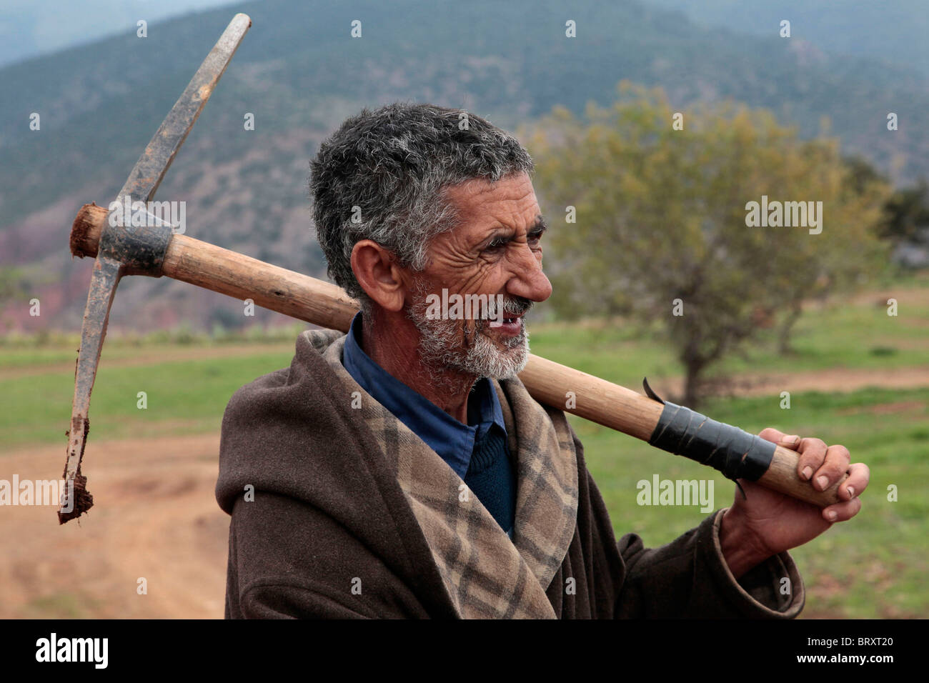 BERBER FARMER, TERRES D'AMANAR, TAHANAOUTE, AL HAOUZ, MOROCCO Stock ...