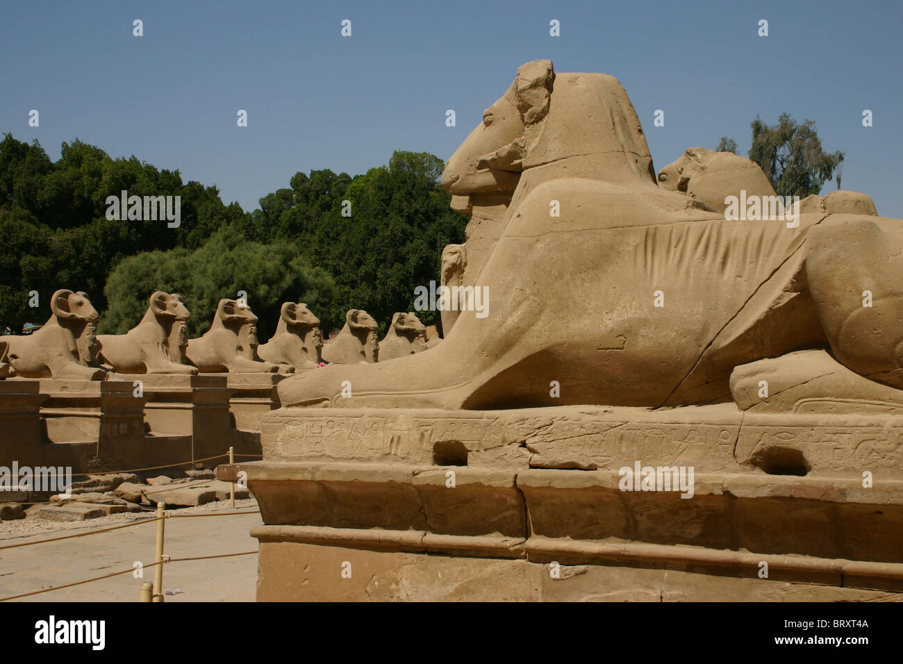 Avenue of Criosphinxes ( ram headed , lion body ) of Ramses ll at ...