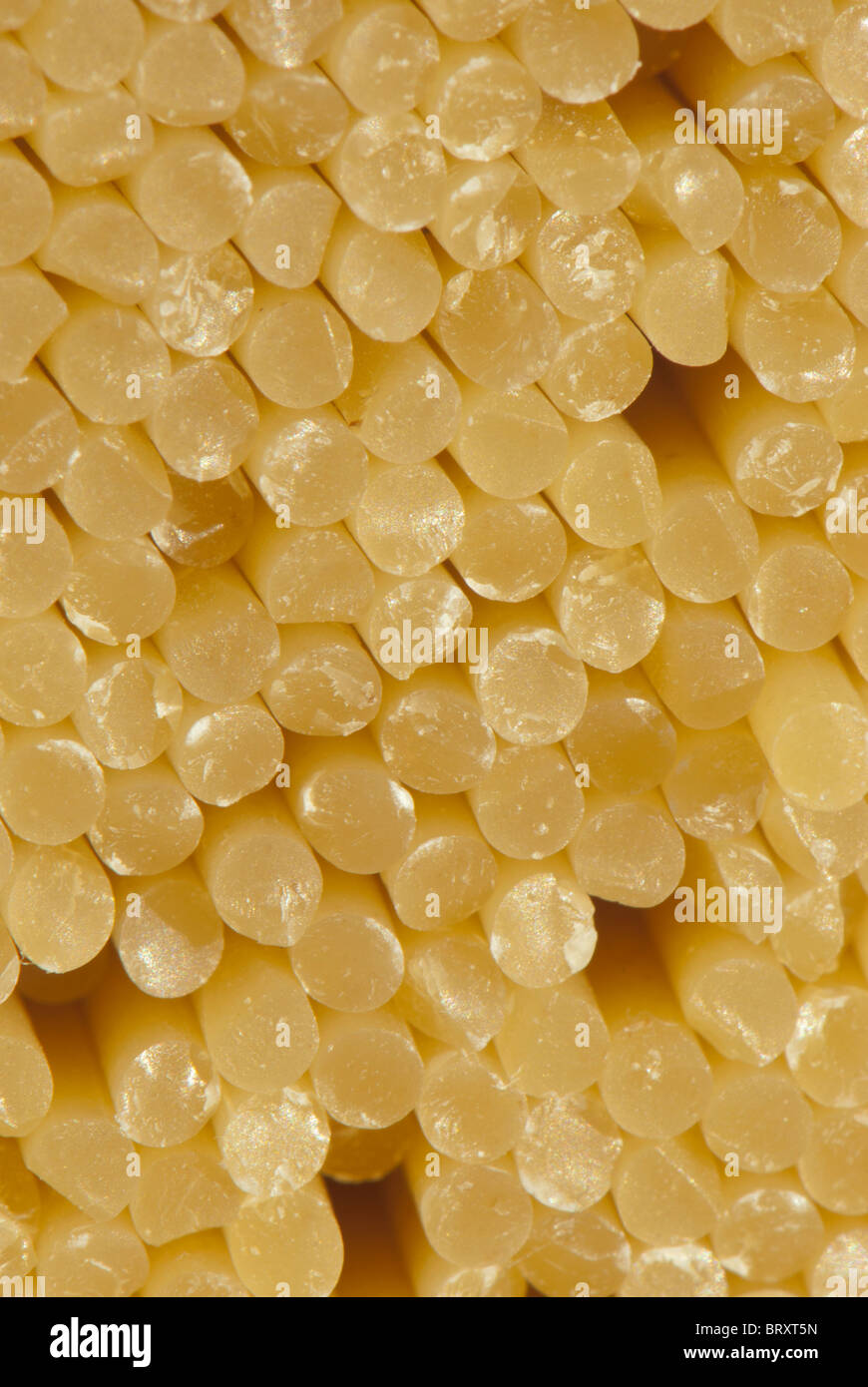 Close up of the pasta Stock Photo - Alamy
