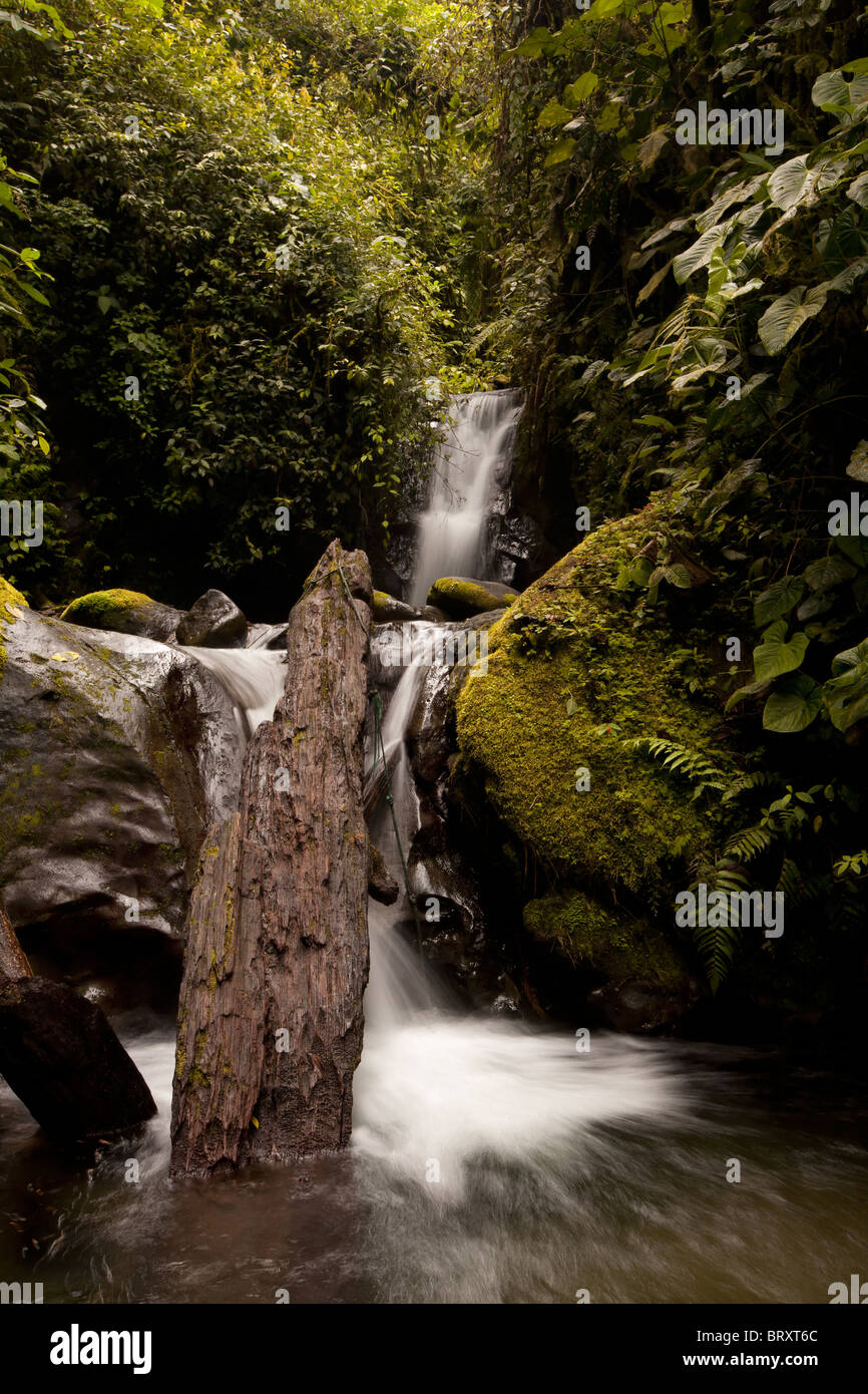 Waterfall In The Amazon Rain Forest Stock Photo - Alamy