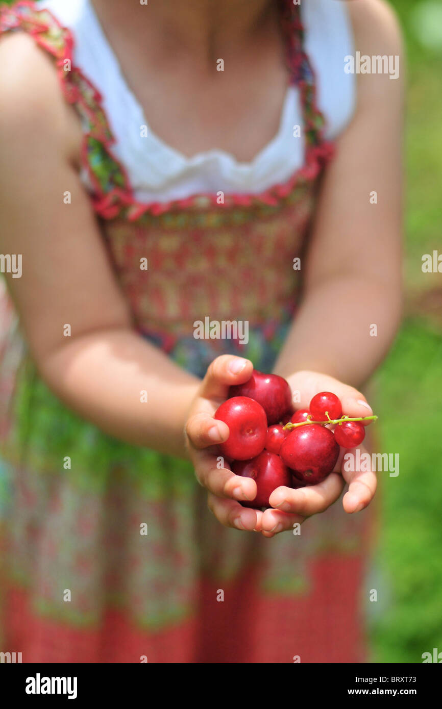 LITTLE GIRL, BERRIES, SOMME (80), PICARDY, FRANCE Stock Photo - Alamy