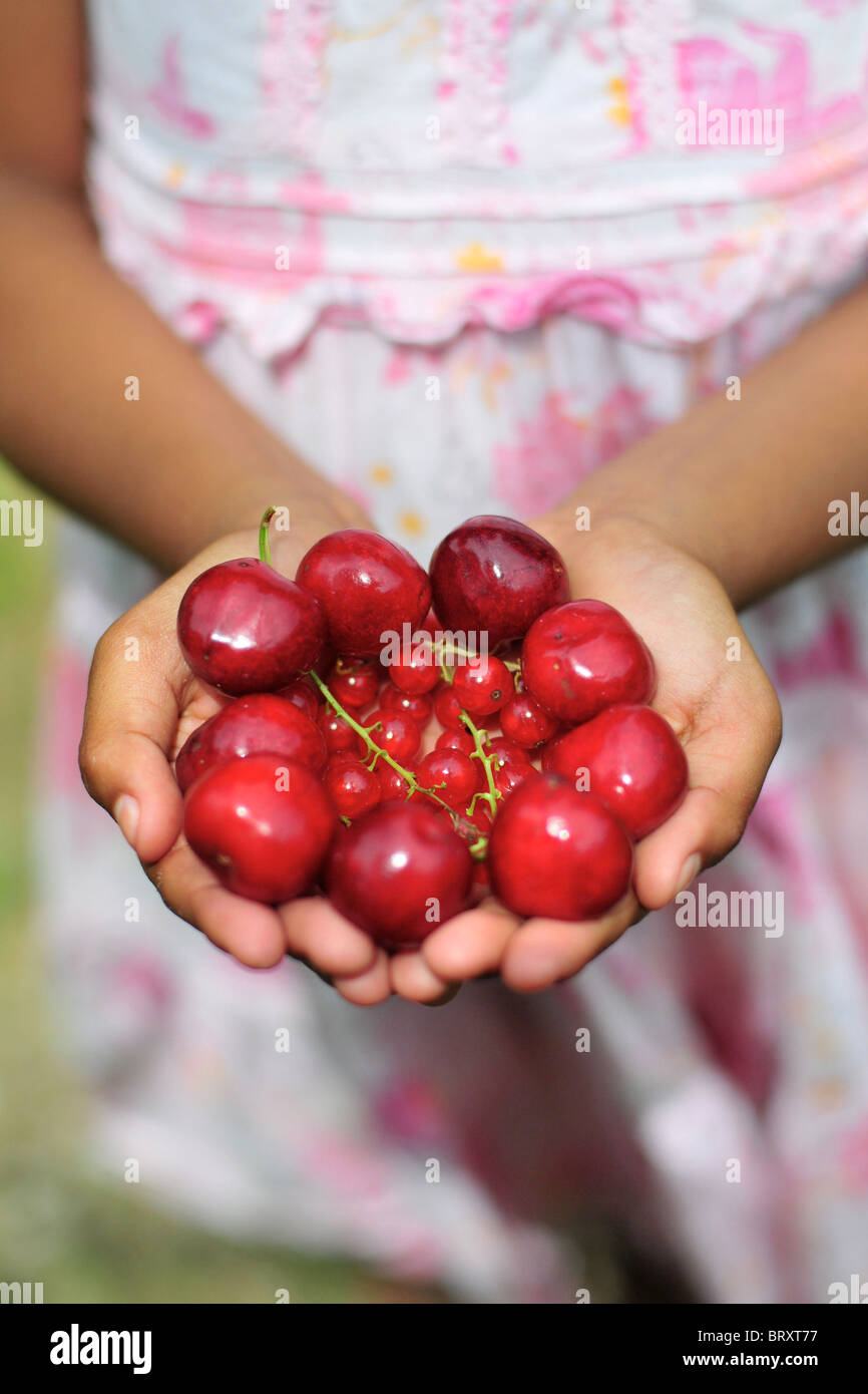 LITTLE GIRL, CHERRIES, SOMME (80), PICARDY, FRANCE Stock Photo - Alamy