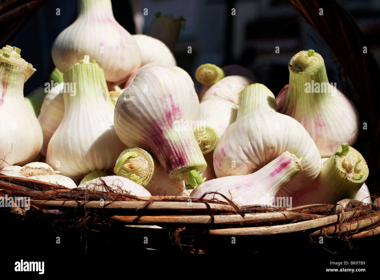 Spring garlic harvest from hi-res stock photography and images - Alamy