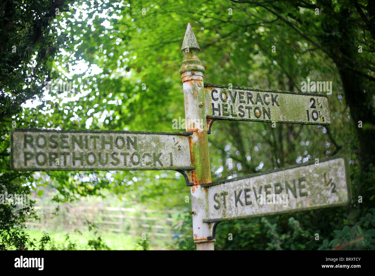Roskilly's farm cornwall hi-res stock photography and images - Alamy