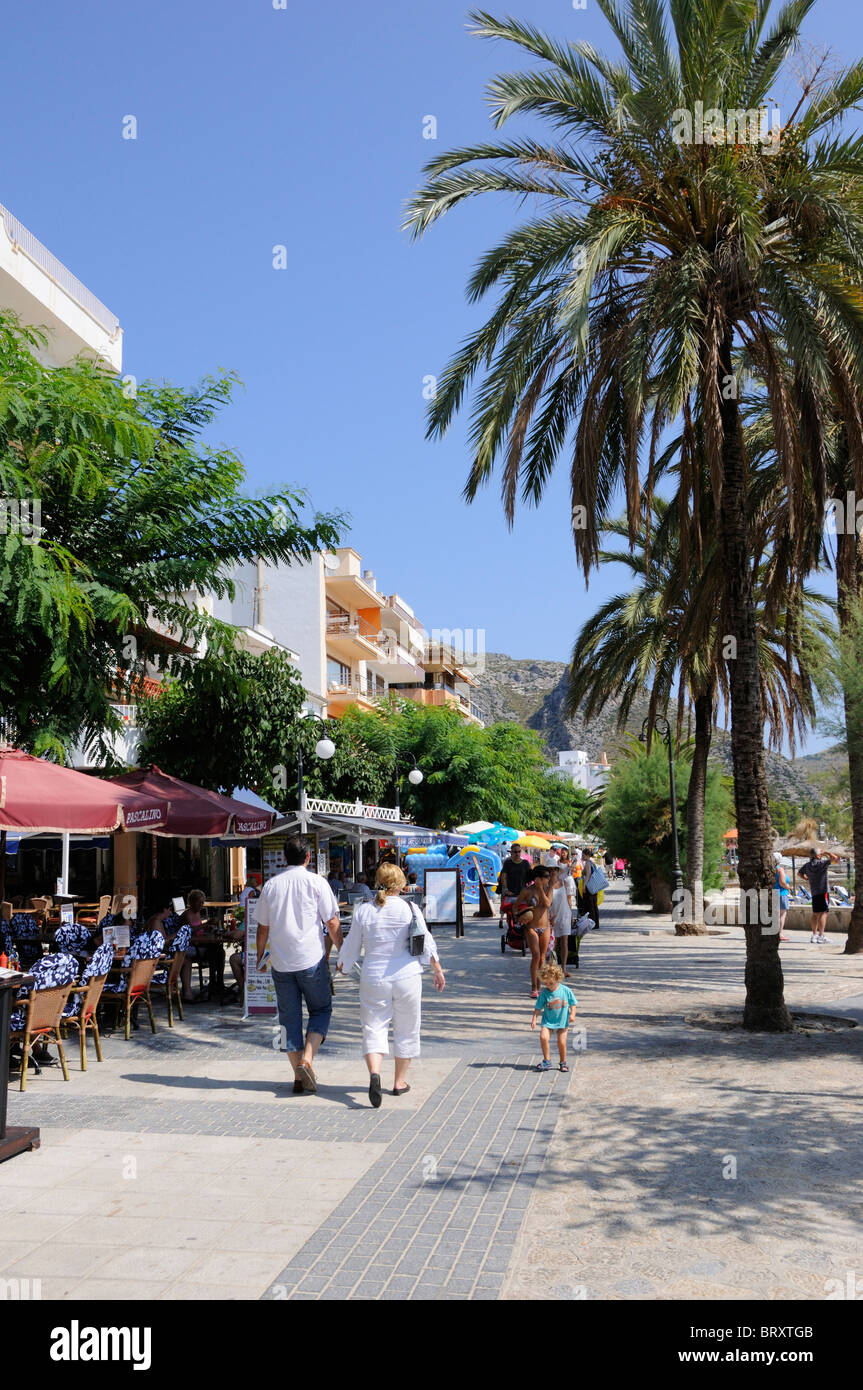 Puerto pollensa pine walk hi-res stock photography and images - Alamy
