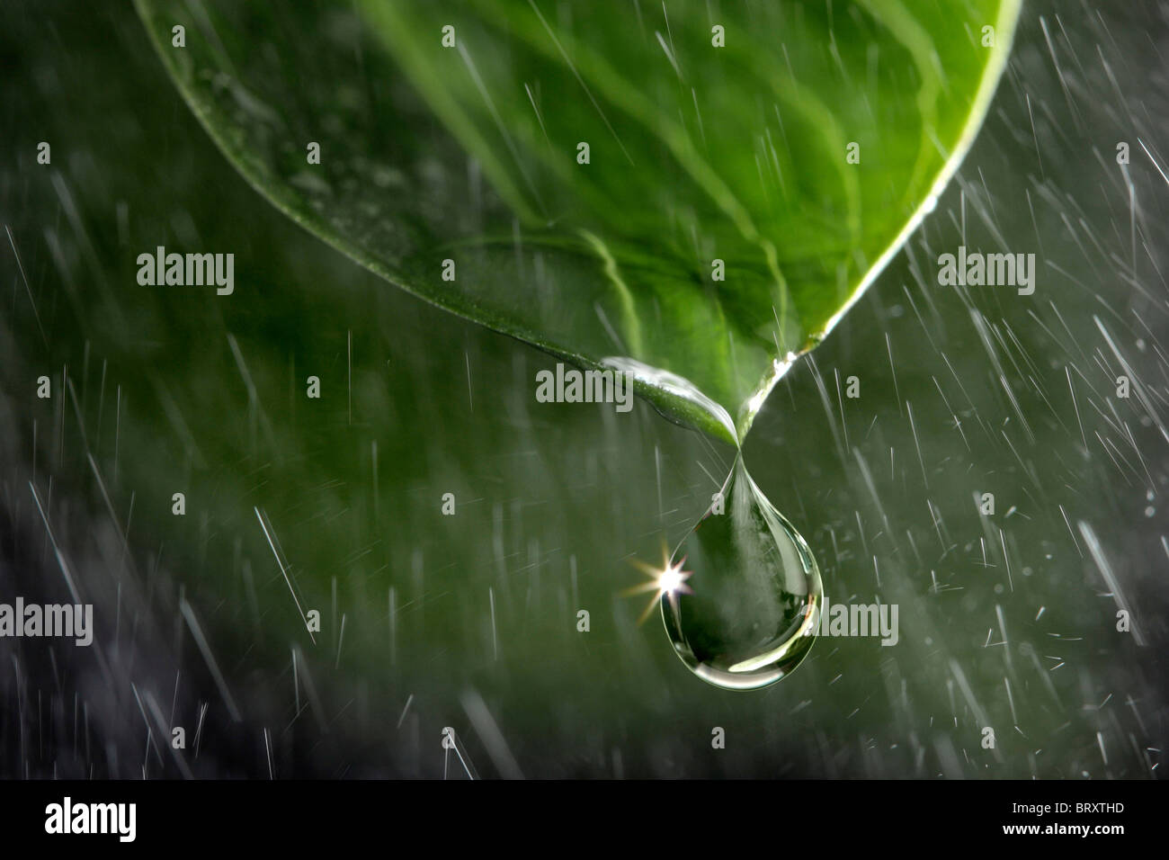 Water forming hi-res stock photography and images - Alamy