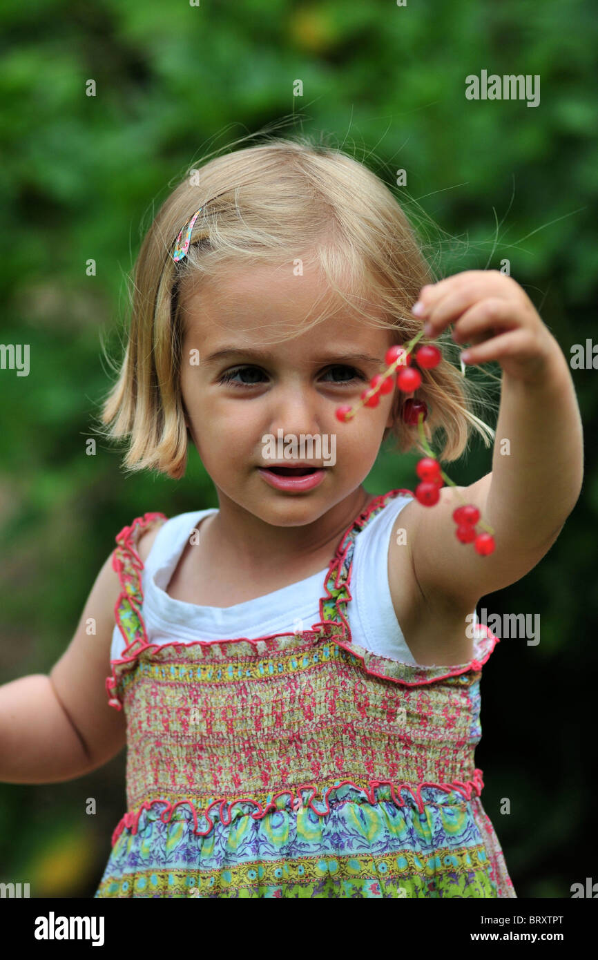 LITTLE GIRL, FRESH CURRANTS, SOMME (80), PICARDY, FRANCE Stock Photo ...
