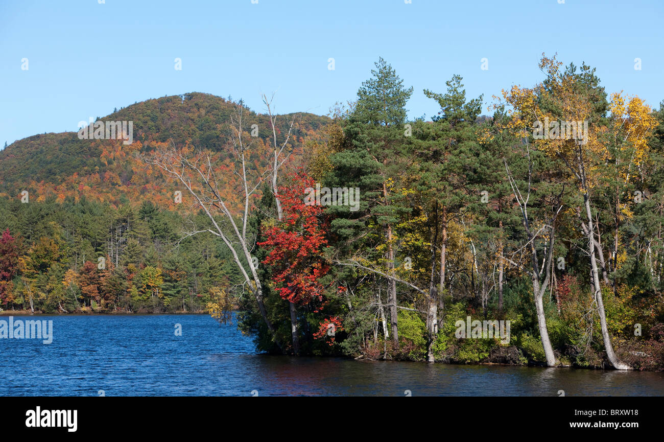 Fall foliage along a shoreline river lake Stock Photo - Alamy