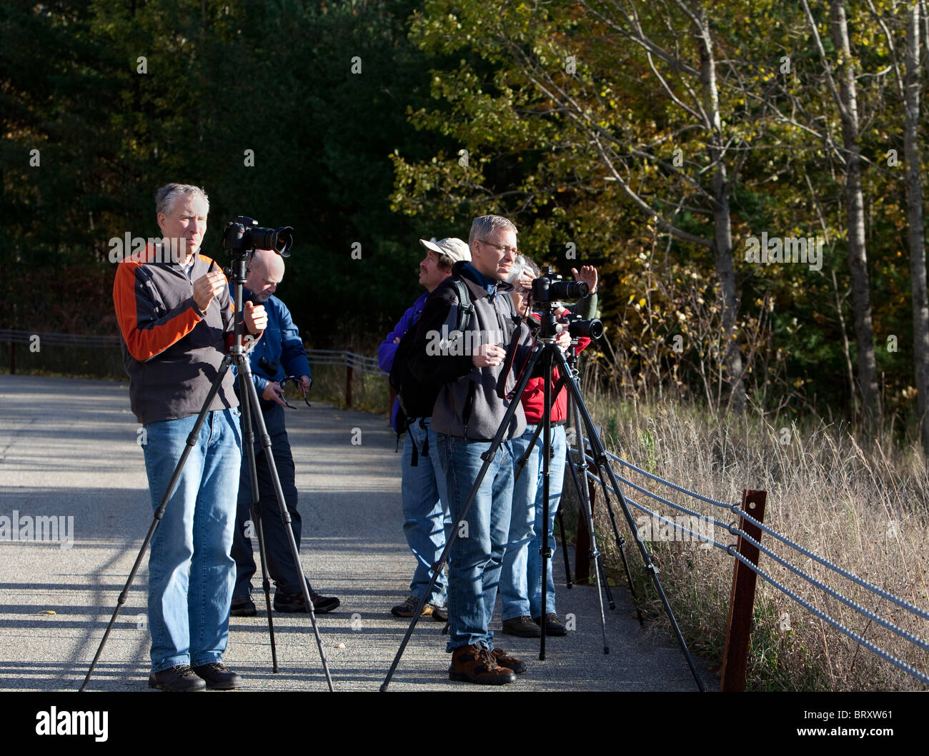 A group of photographers shooting fall foliage from a rest stop ...