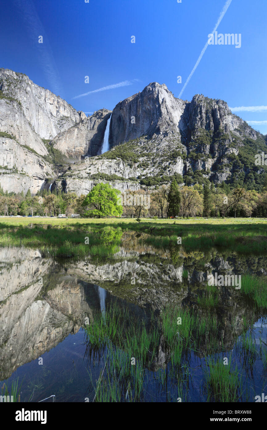 Reflection of Yosemite Falls in a flooded spring meadow Stock Photo - Alamy