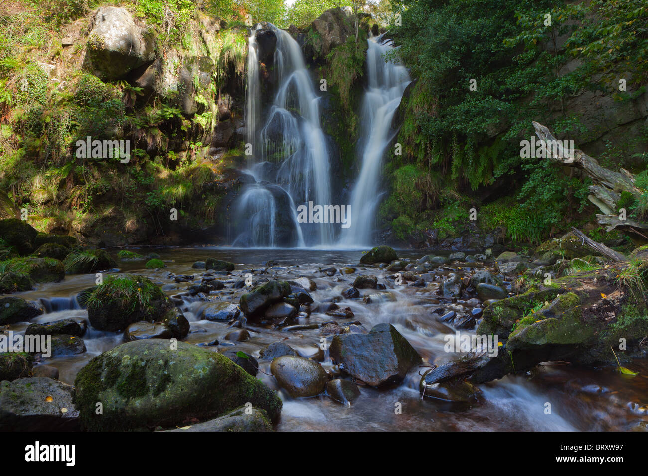 Posforth Gill, Valley Of Desolation Stock Photo - Alamy