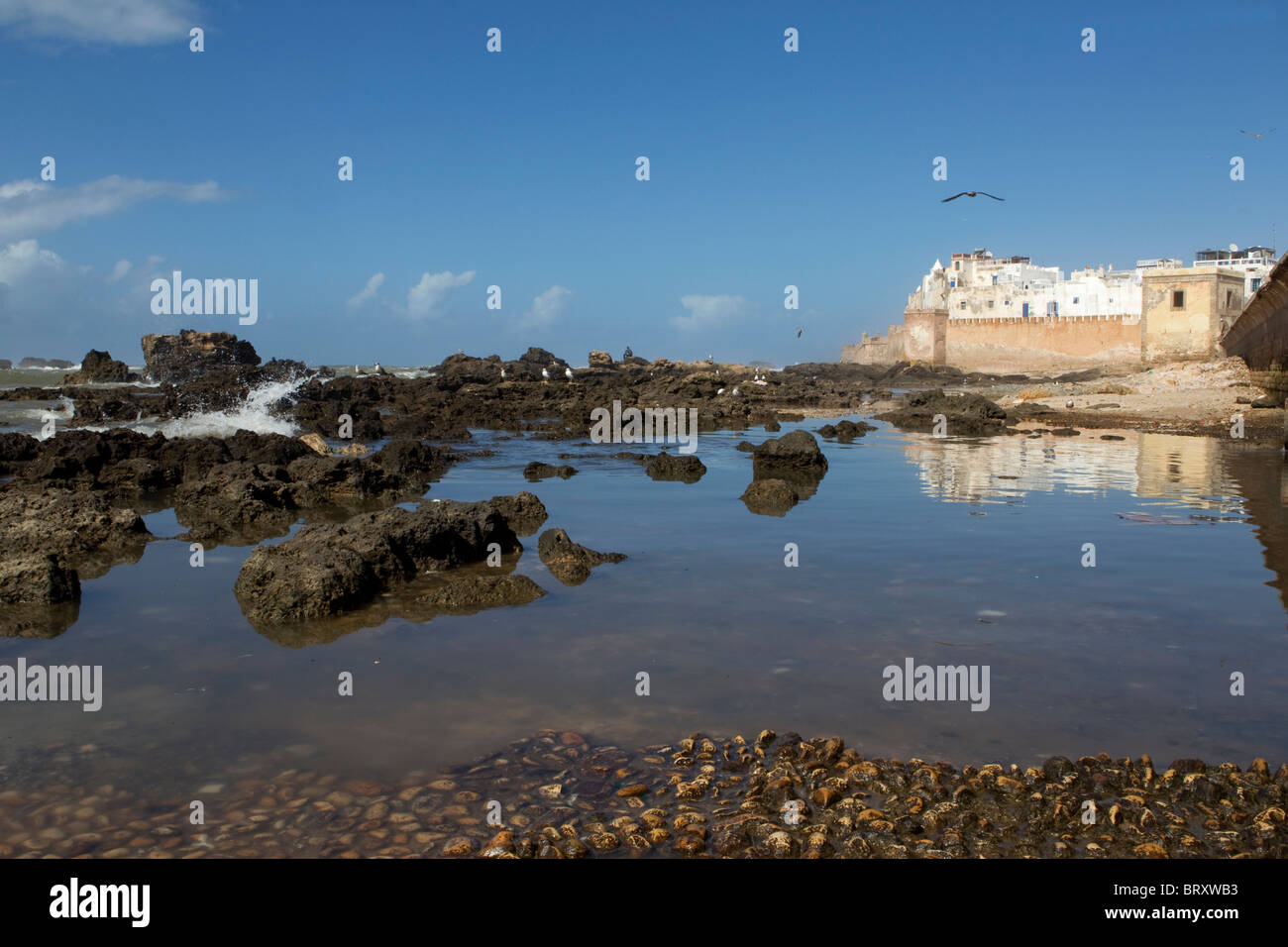 Safi morocco historical hi-res stock photography and images - Alamy
