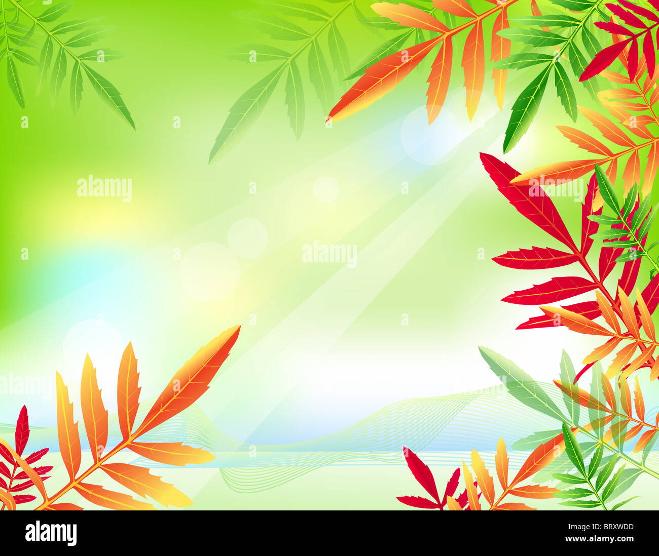 green background with autumn leaves Stock Photo - Alamy