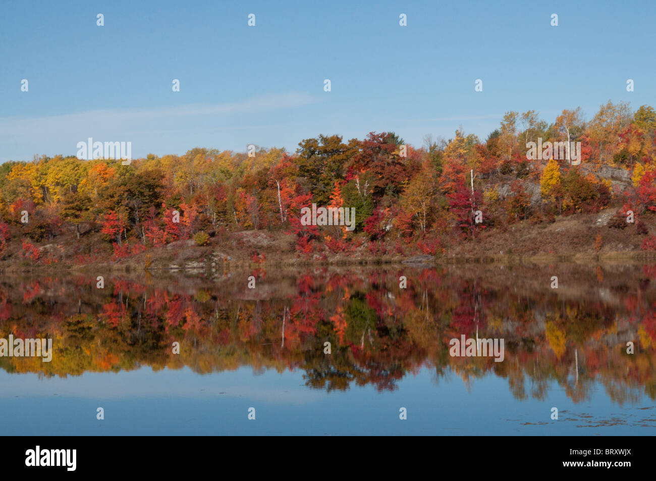 Fall foliage reflected in a Northern Ontario lake Stock Photo - Alamy