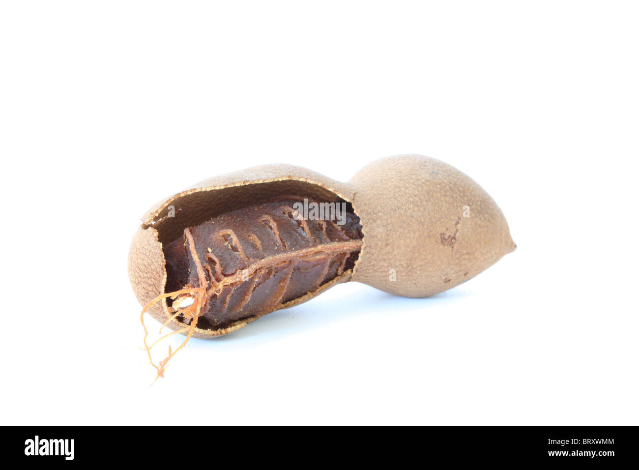 Ripe tamarind fruit on white background - one open pod close up view ...