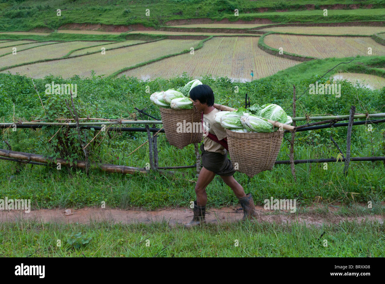 farmer carrying heavy vegetable load in baskets to train station. Shan ...