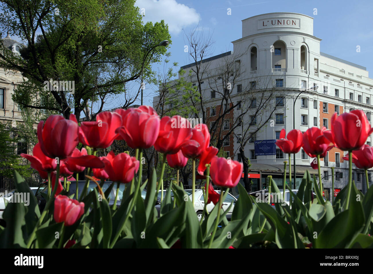 FACADE OF THE UNION BUILDING, PASEO DE RECOLETOS, MADRID, SPAIN Stock ...