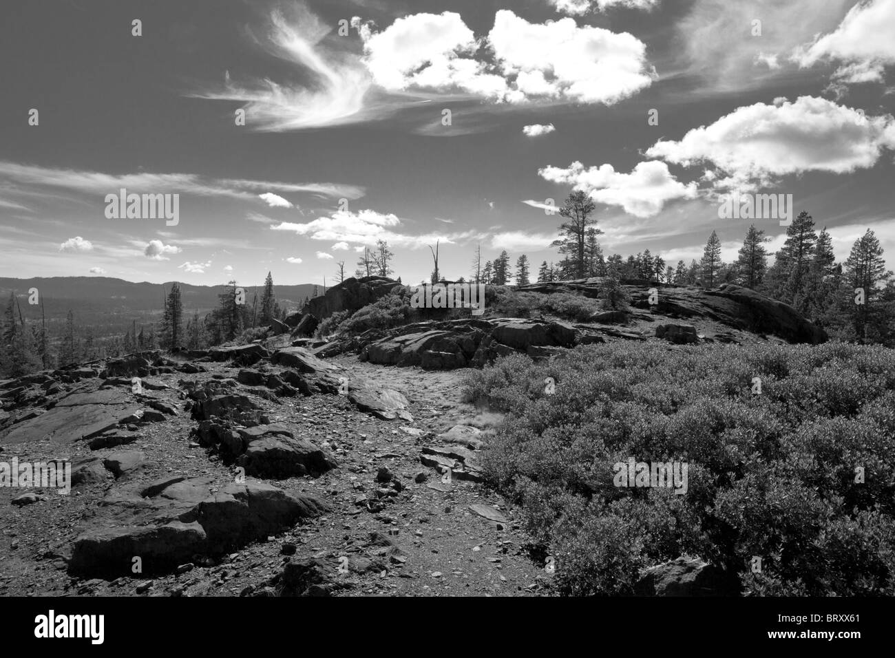 A bedrock dome that has been polished by glacial action in the Sierra ...