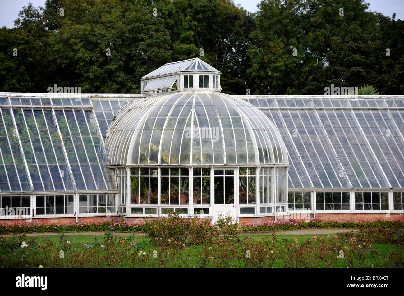 Victorian conservatory hi-res stock photography and images - Alamy