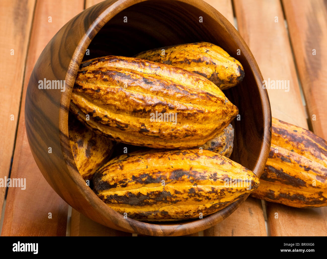 Pile cacao fruit pods hi-res stock photography and images - Alamy